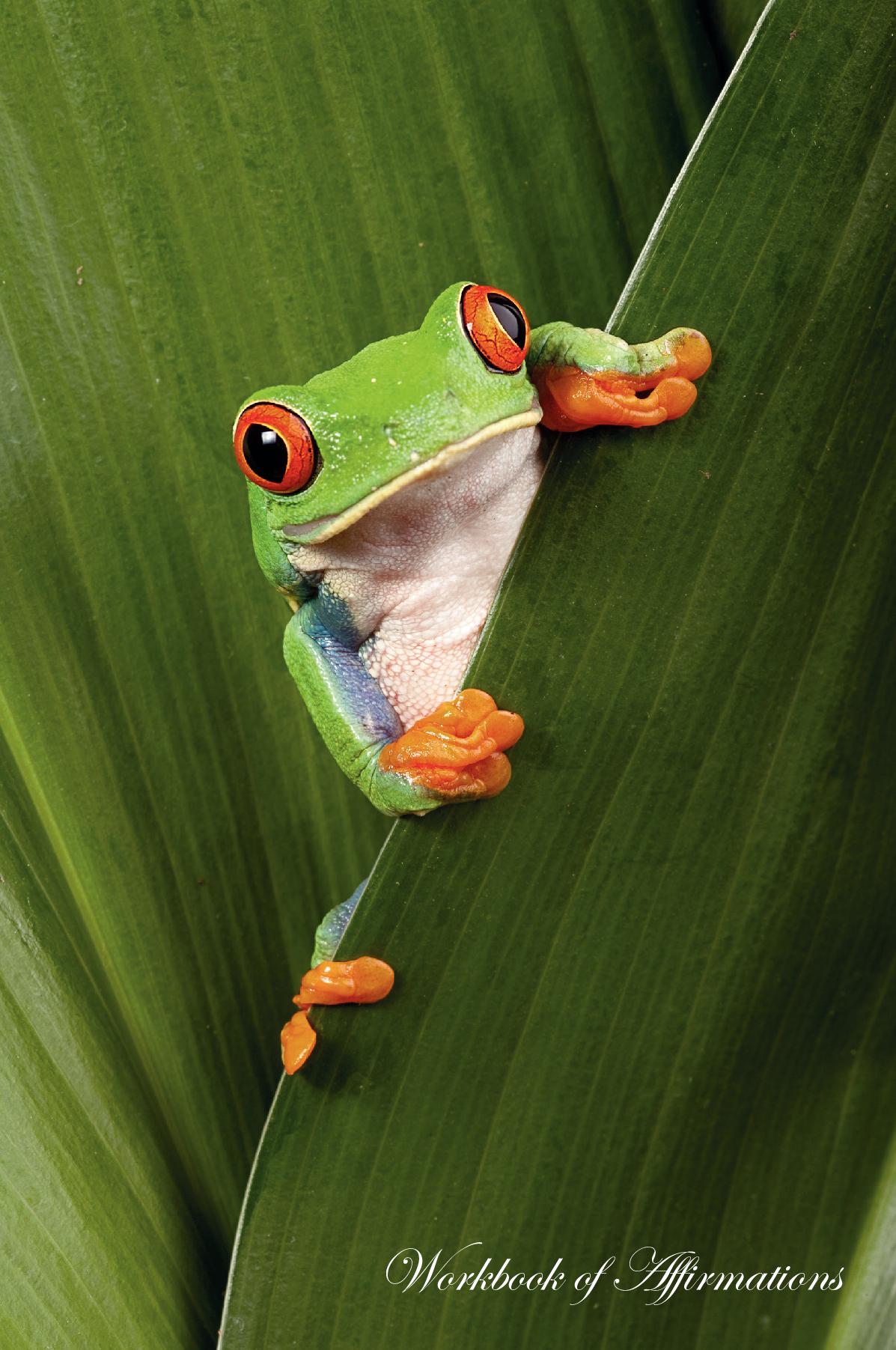 Red Eyed Tree Frog Workbook of Affirmations Red Eyed Tree Frog Workboo