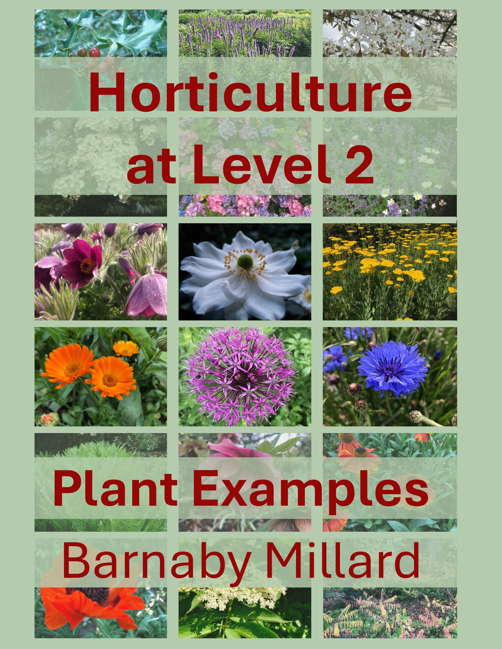 Horticulture at Level 2. Plant Examples