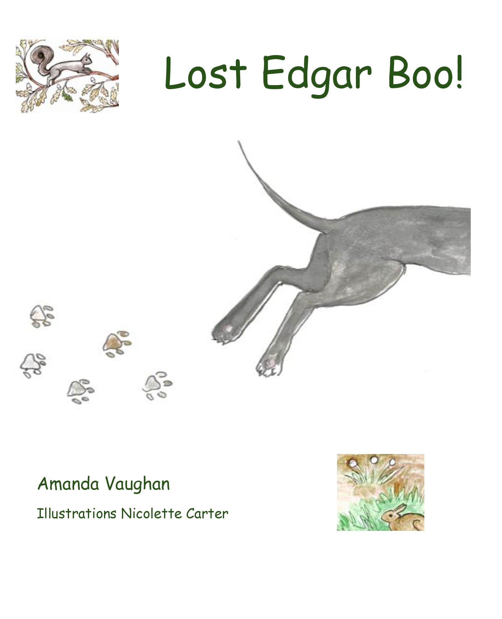 Lost Edgar Boo!