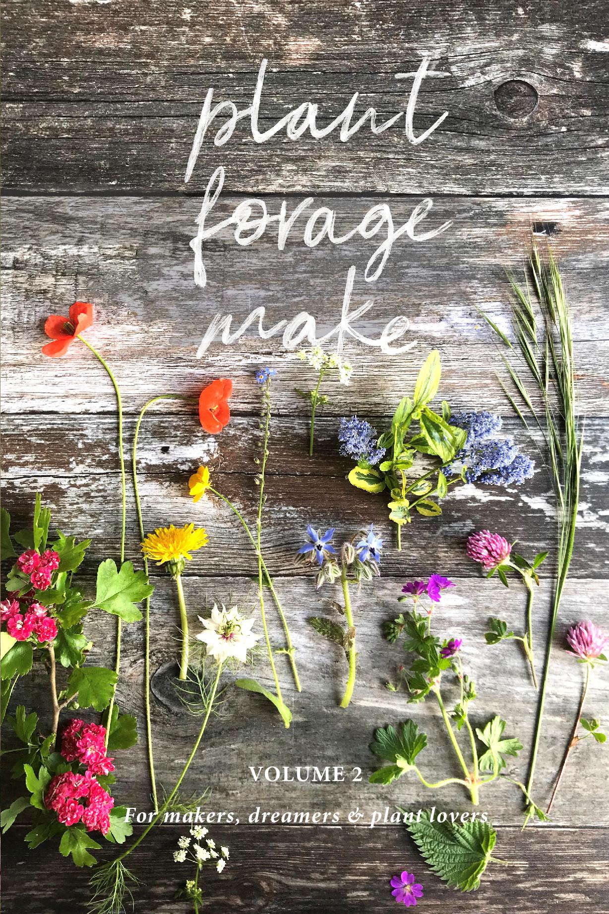 Plant Forage Make, Volume 2: Colour