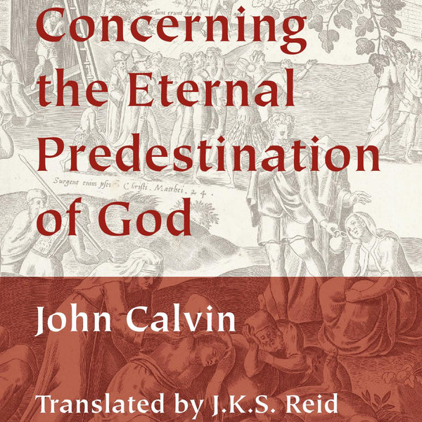 Calvinism Predestination